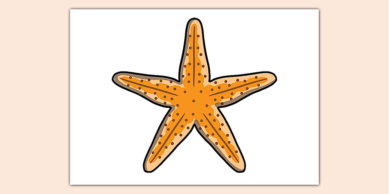 Large Starfish Display Cut-Out (Teacher-Made) - Twinkl