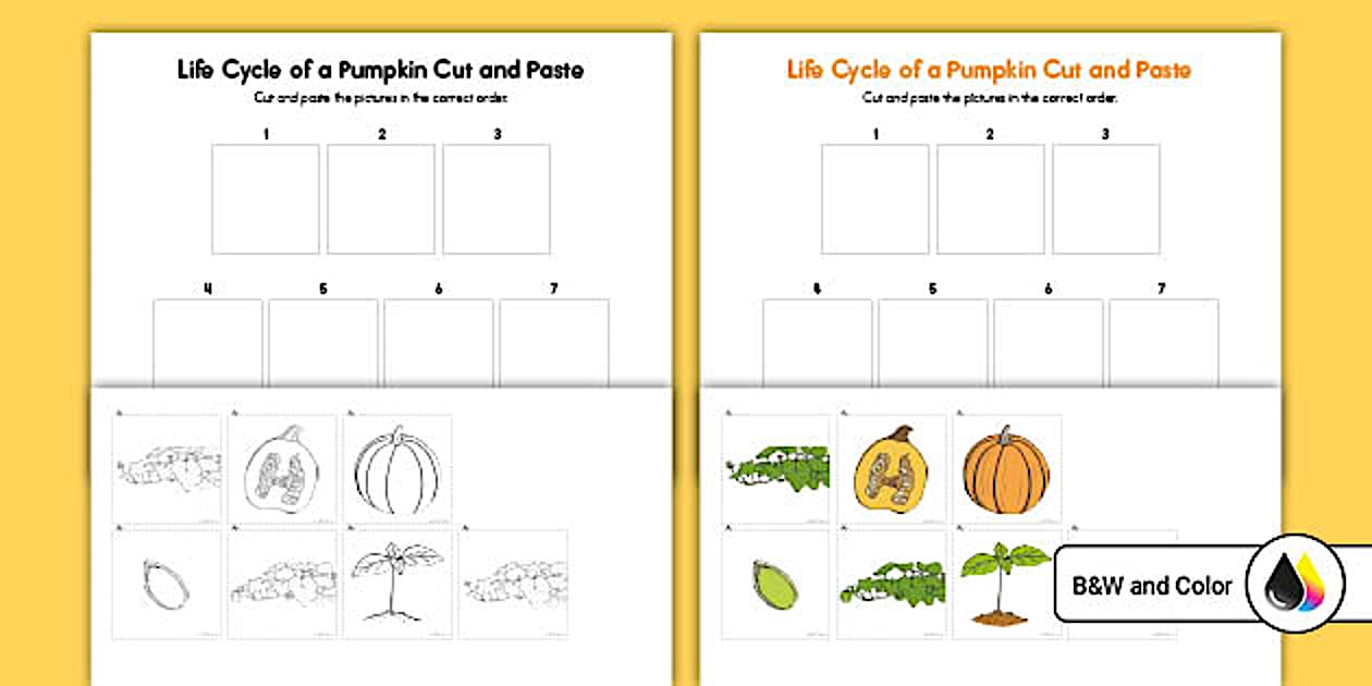Early Childhood Life Cycle of a Pumpkin Cut and Paste Worksheet