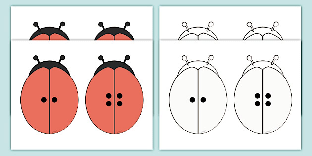 Ladybug Doubles Cutouts - Twinkl