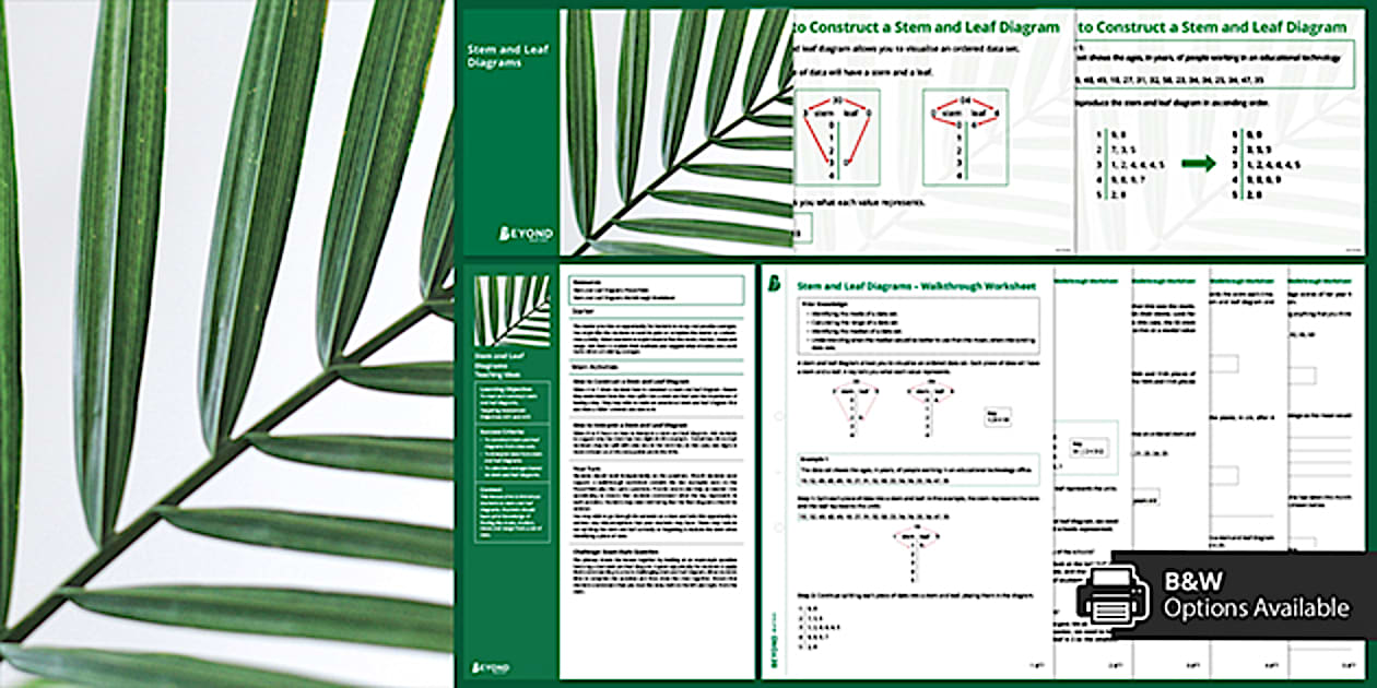👉 Stem and Leaf Diagram Lesson Pack | GCSE Maths | Beyond