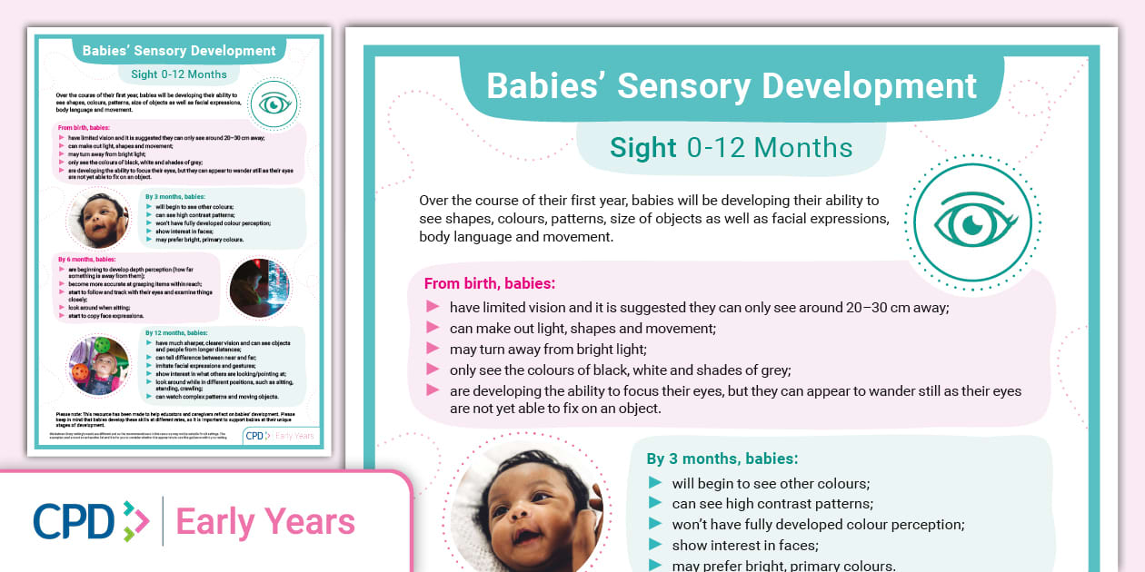 Babies' Sensory Development: Sight 0-12 Months (Poster)