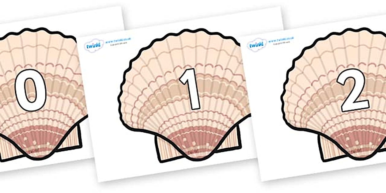 Numbers 0-100 on Seashells (Teacher-Made) - Twinkl