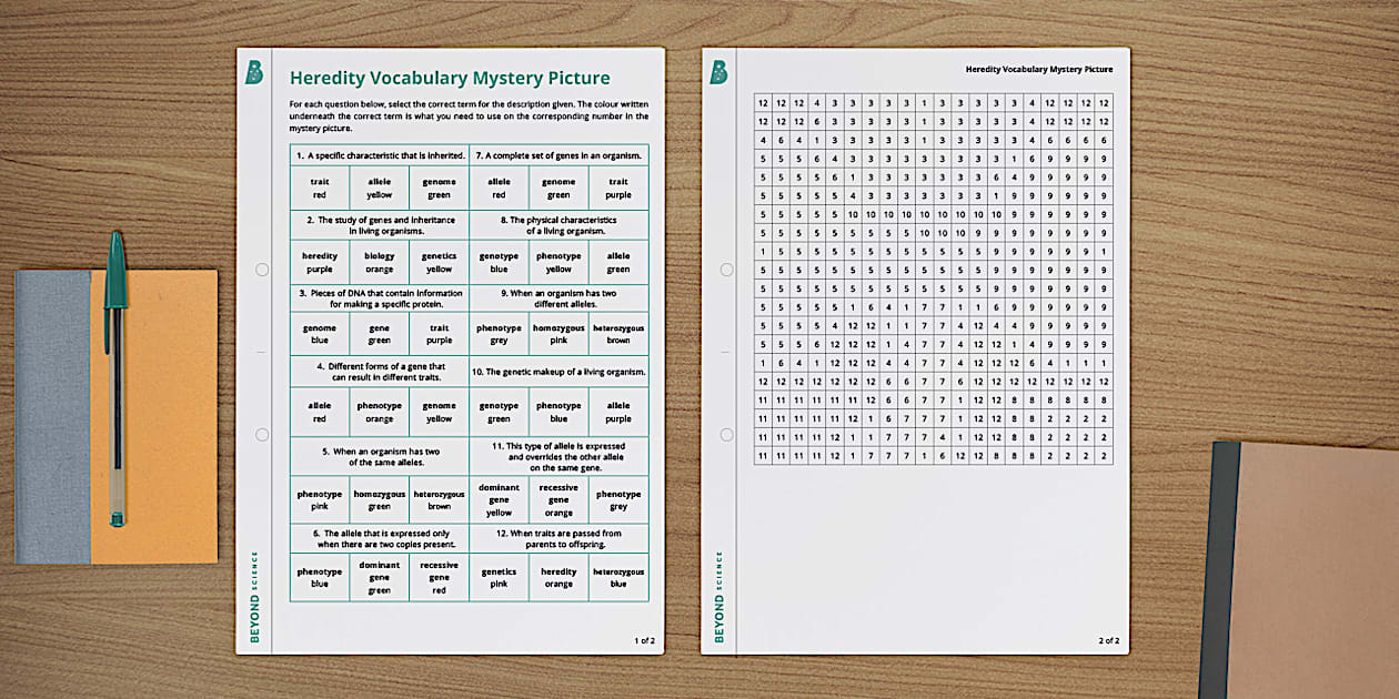 Heredity Vocabulary Mystery Picture (teacher made) - Twinkl
