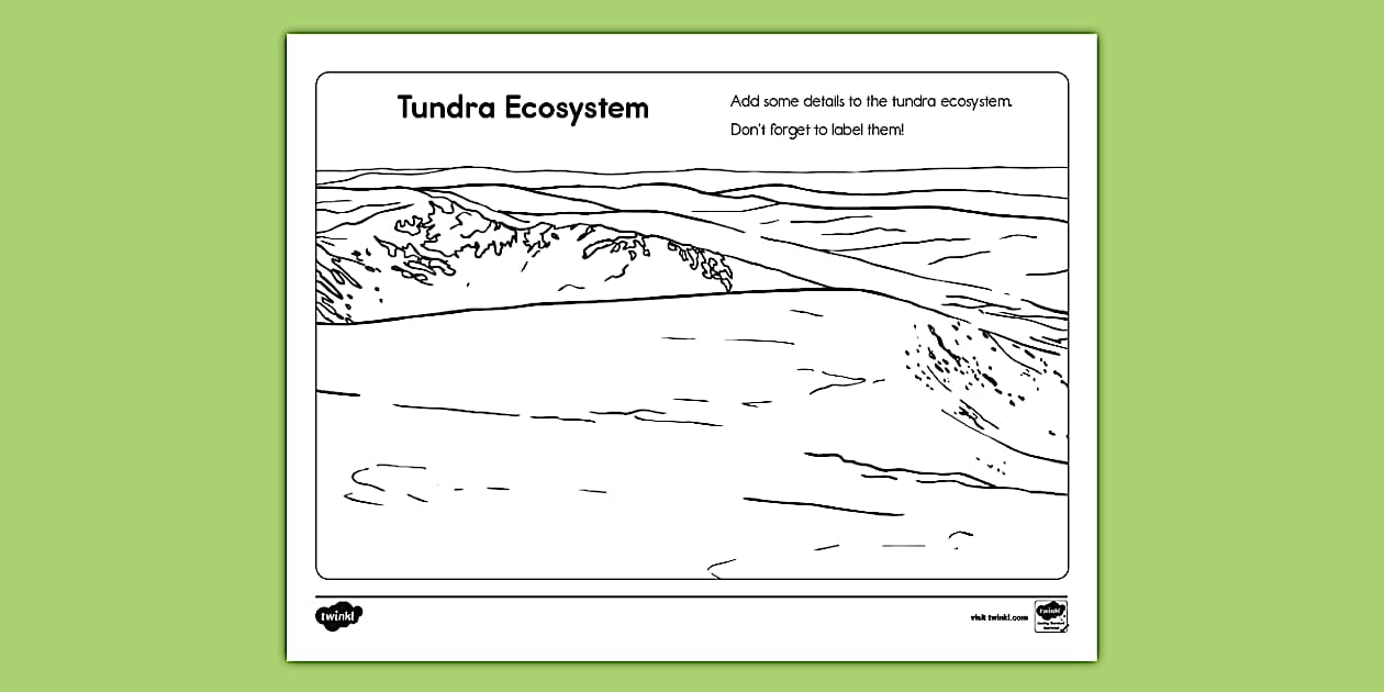 Draw the Tundra Ecosystem Worksheet for K-2nd Grade - Twinkl