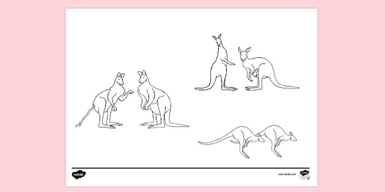 Group of Kangaroos Colouring | Colouring Sheets - Twinkl