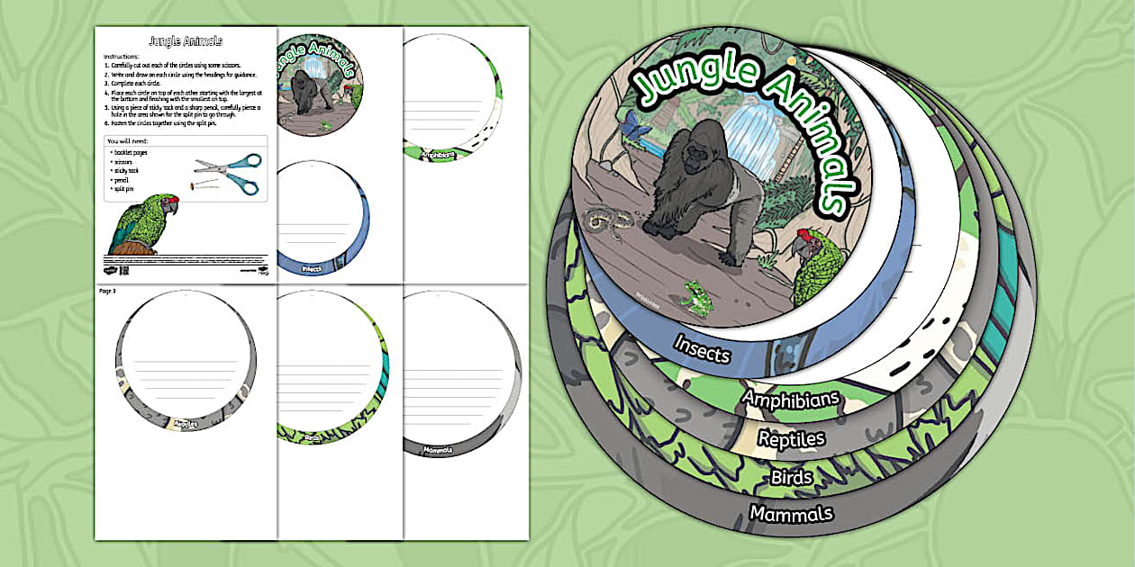 Jungle Animals Circles Booklet (teacher made) - Twinkl