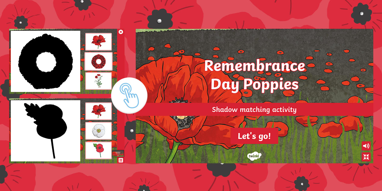 Remembrance Day Poppies Interactive Shadow Matching Activity