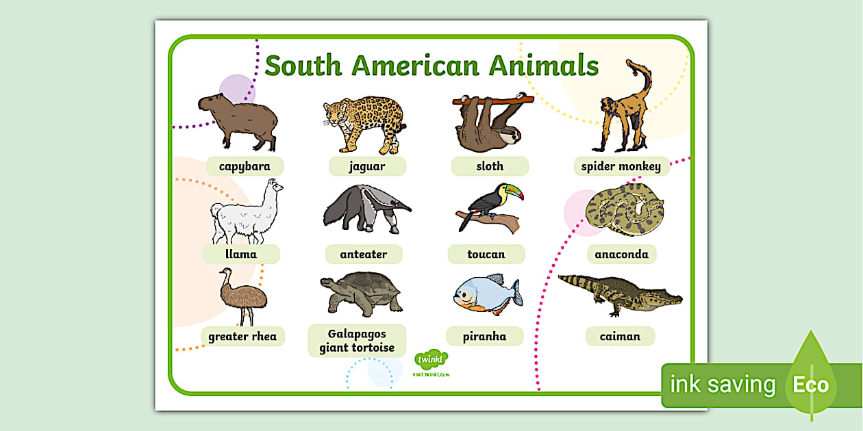 South American Animals Word Mat - Twinkl