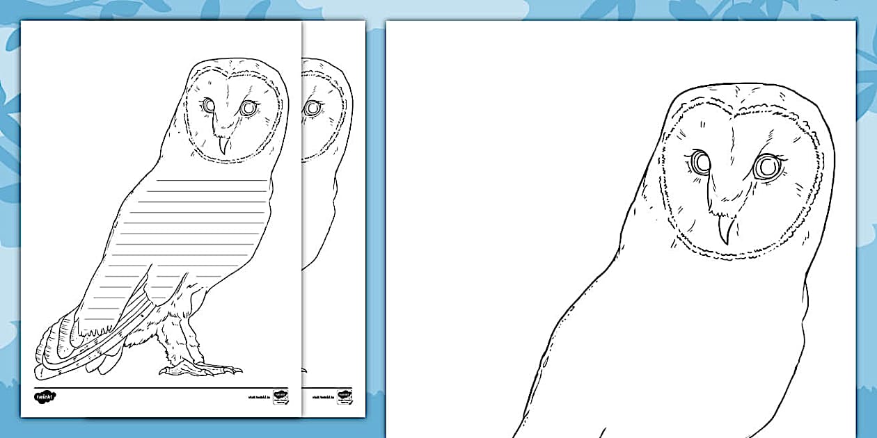 Barn Owl Writing Template