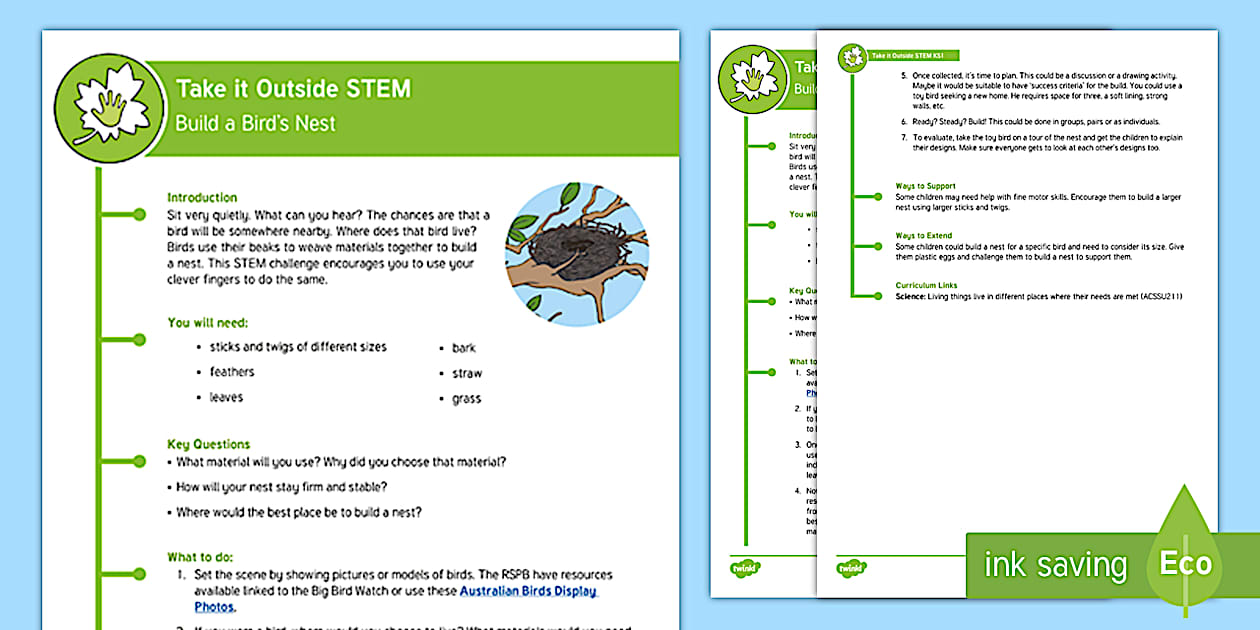 Birds Nest STEM Activity