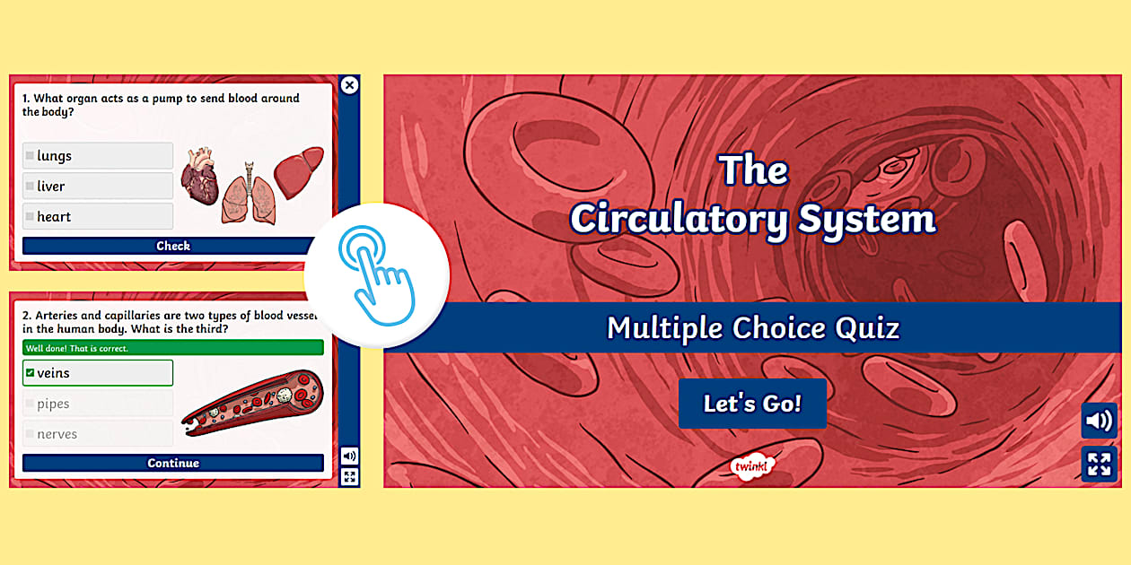 Interactive Heart Quiz - Key Stage 2 - Primary Resource