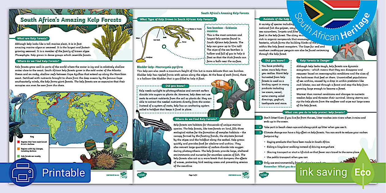 South Africa's Amazing Kelp Forest - Reading Comprehension