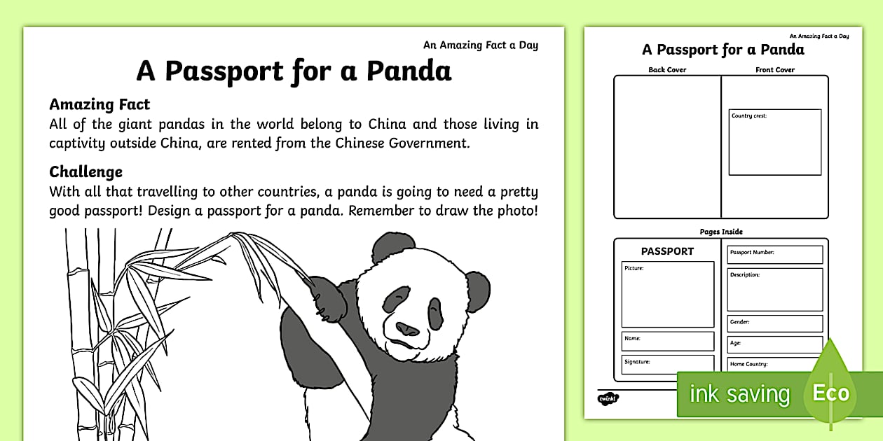A Passport for a Panda Worksheet / Worksheet (teacher made)
