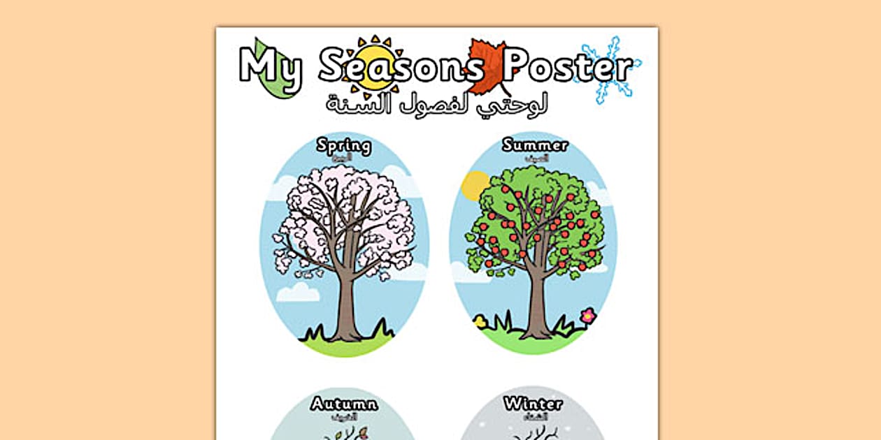 4 Seasons A4 Arabic Translation (teacher made) - Twinkl