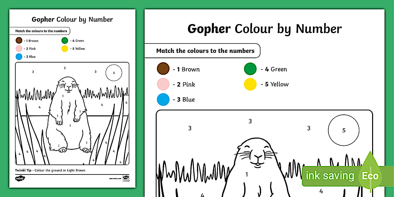 Gopher Colour-by-Number Worksheet | Twinkl | Colouring | KS1