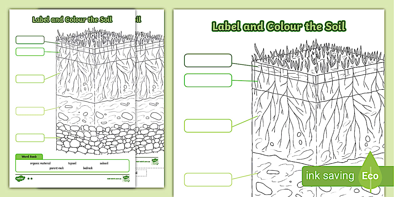 Label and Colour the Soil Differentiated Activity - Twinkl Label and Colour the Soil Differentiated Activity - Twinkl