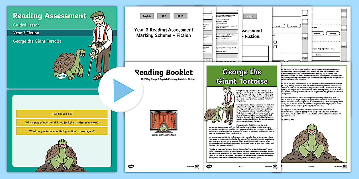 Year 3 Fiction George the Giant Tortoise Reading Assessment Resource Pack