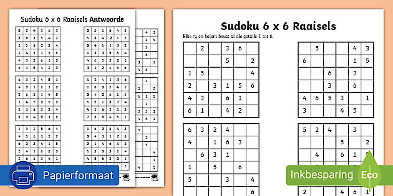 Sudoku 6 x 6 Raaisels