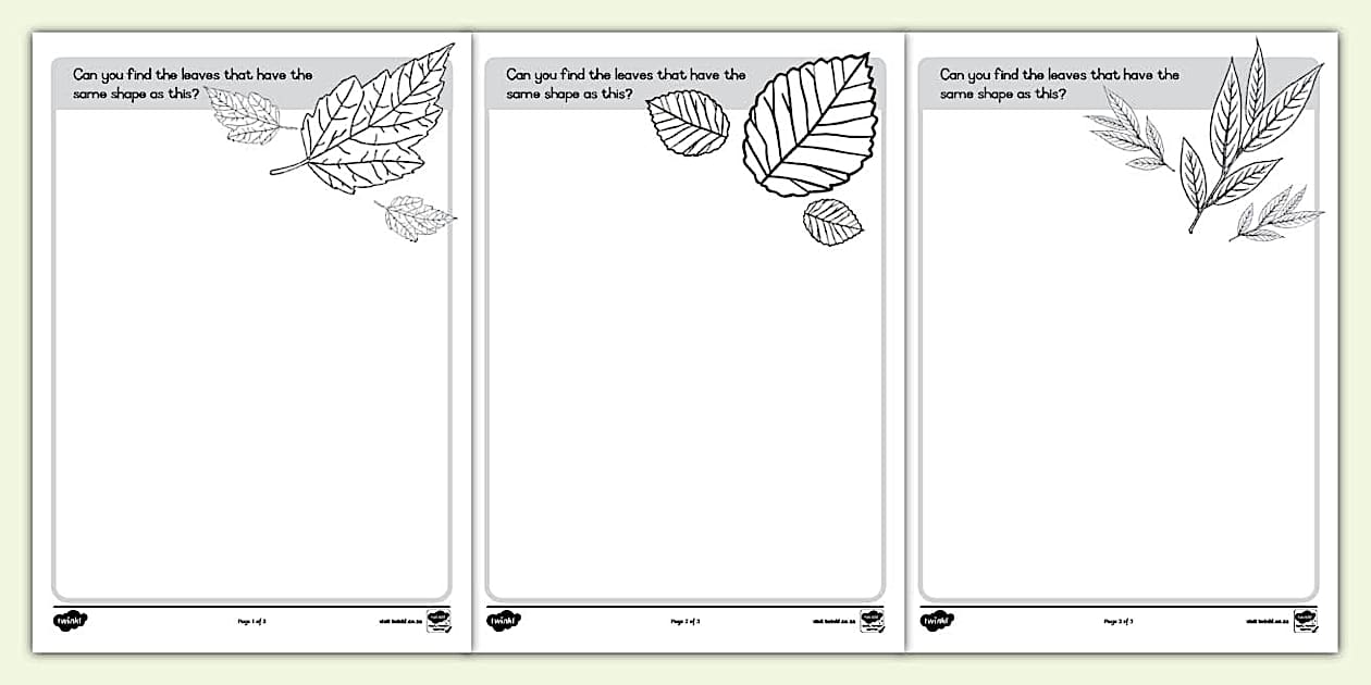 Grade R Data Handling Leaf Shape Sorting Activity - Twinkl Grade R Data Handling Leaf Shape Sorting Activity - Twinkl