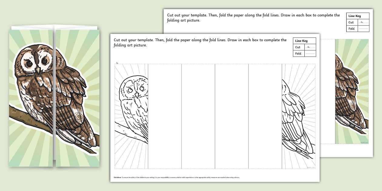 Owl Folding Art Template - Twinkl Ireland - Twinkl