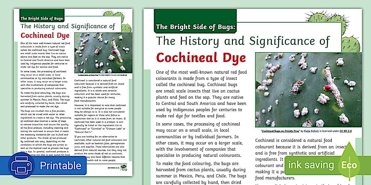 The Bright Side of Bugs: The Significance of Cochineal Dye
