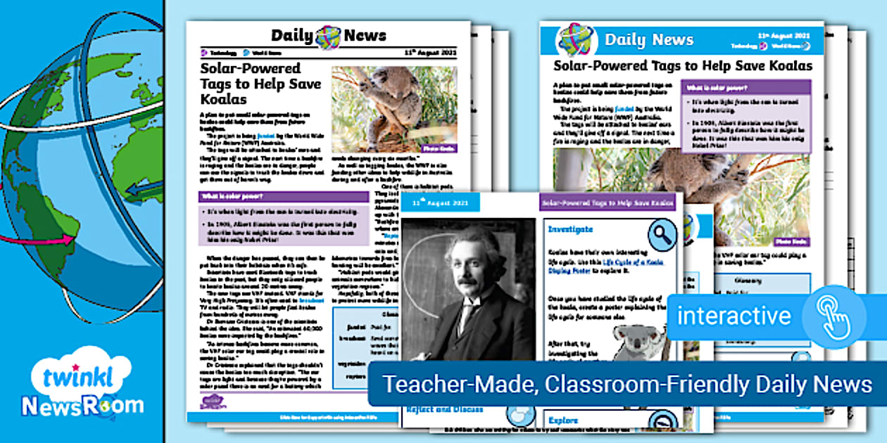 Daily News Story for Kids: Solar-Powered Tags for Koalas