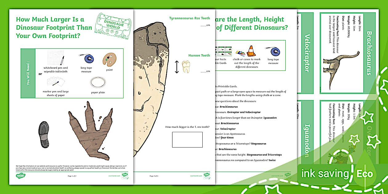 Measuring Dinosaurs Fact Cards and Activity (Teacher-Made)
