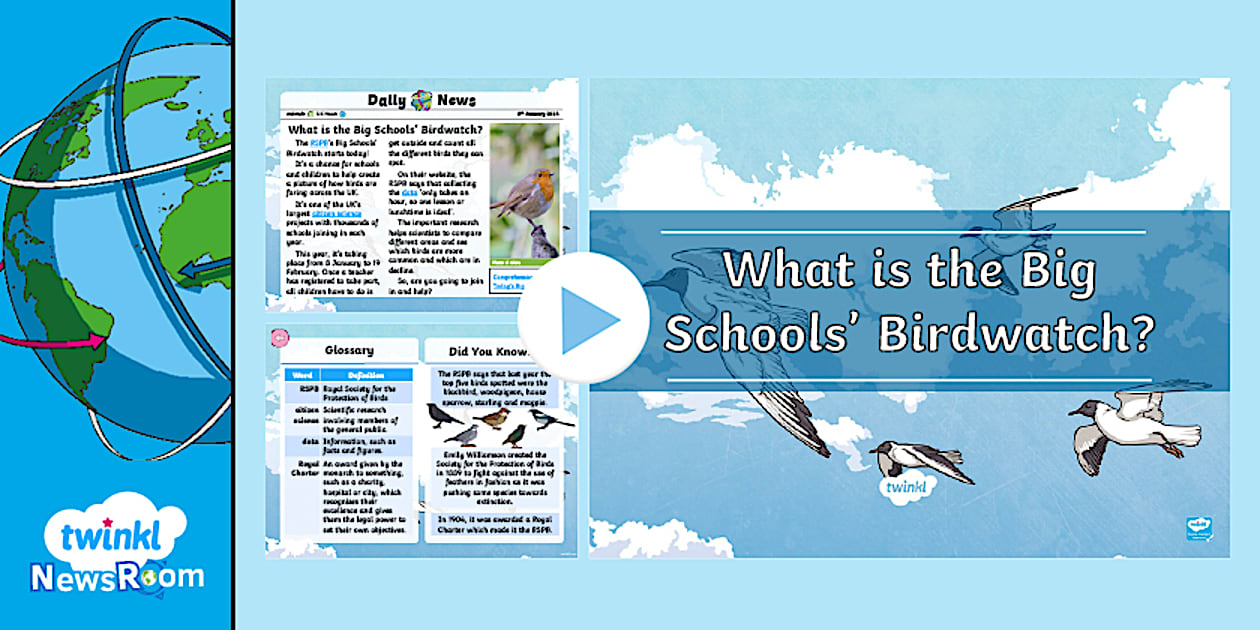 What Is the Big Schools’ Birdwatch? | Twinkl Resources