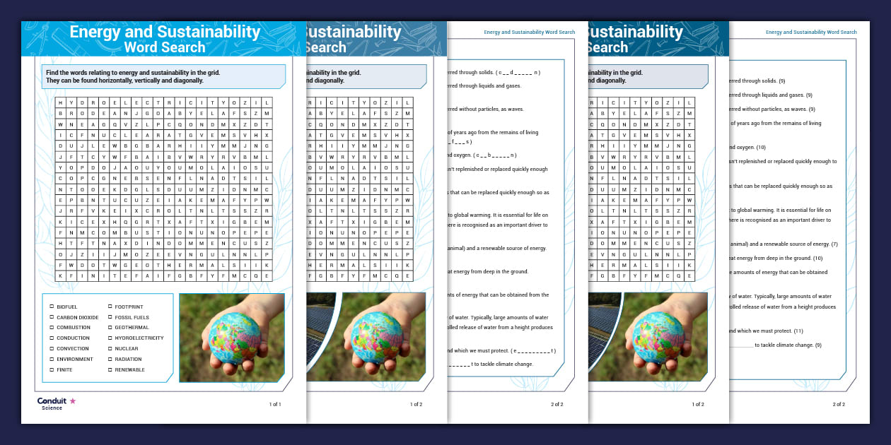 Energy and Sustainability Word Search (teacher made)