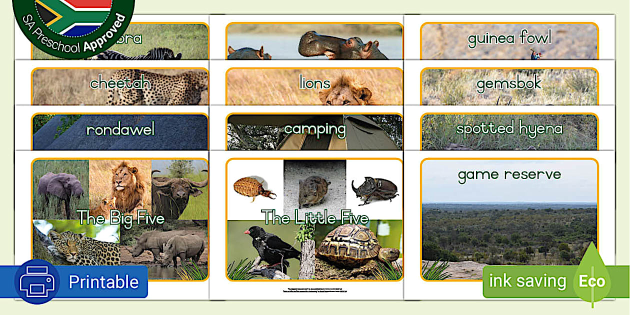 Going on Safari Display Photos (teacher made) - Twinkl
