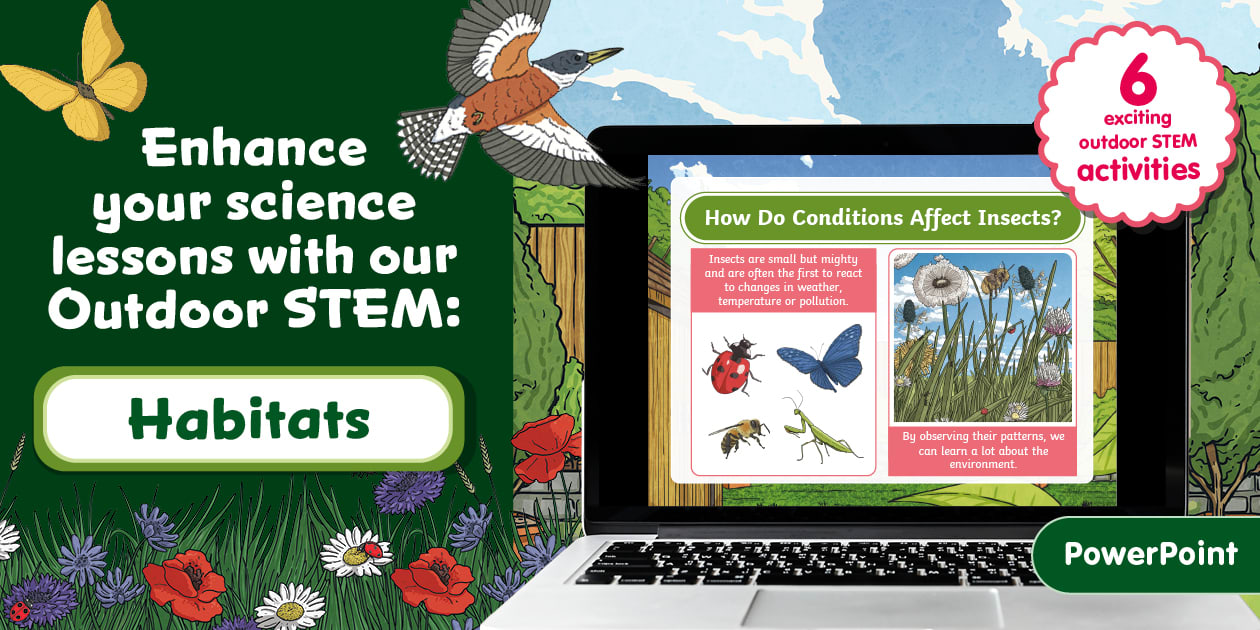Outdoor STEM: Habitats PowerPoint (teacher made) - Twinkl