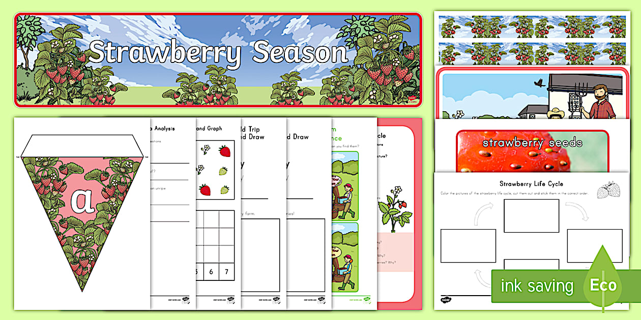 Strawberry Farm Activity Pack - Twinkl