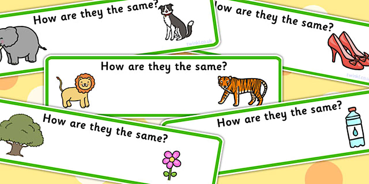 How Are They The Same Activity Cards (teacher made) - Twinkl