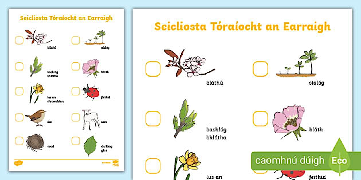 Spring Aistear Hunt Checklist Gaeilge