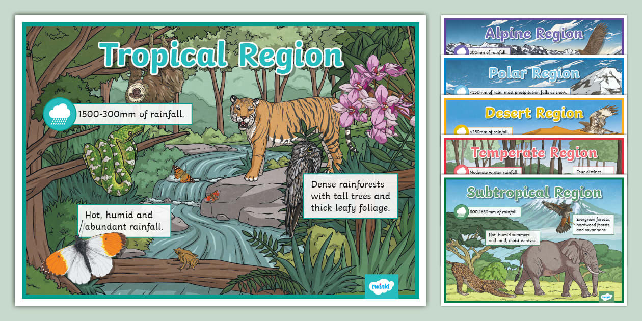 Climate Regions: Poster Pack