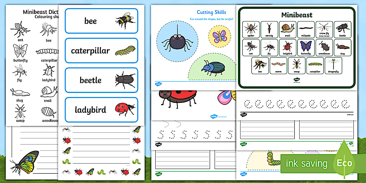 Minibeast Writing Resource Pack (teacher made) - Twinkl
