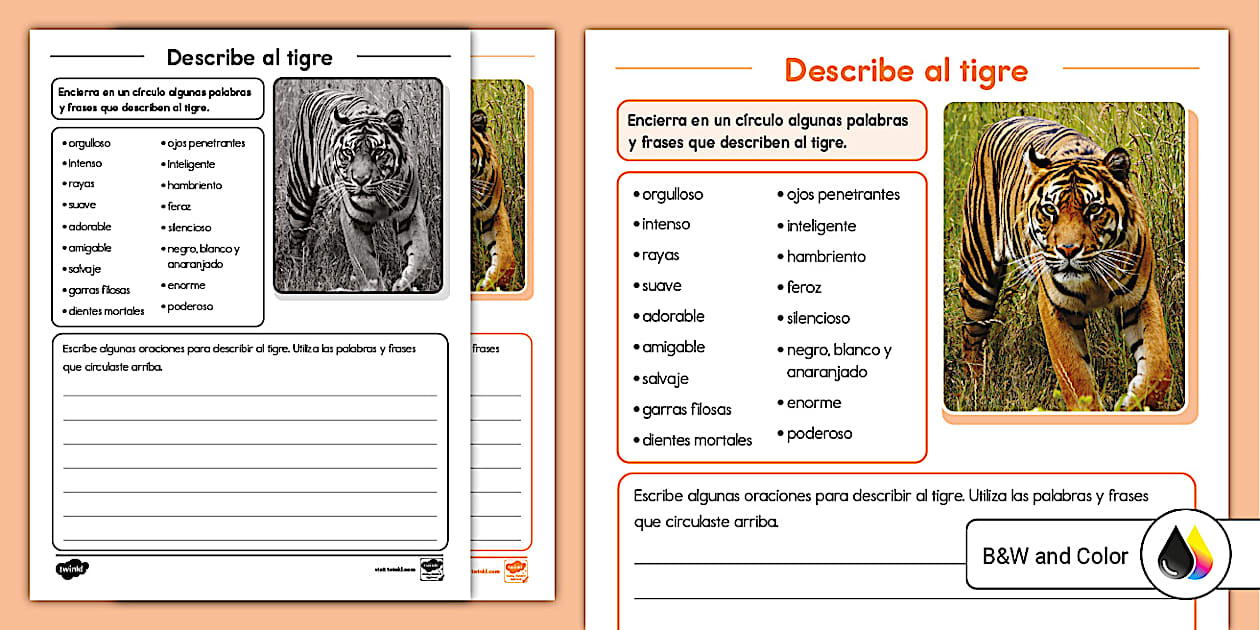 Actividad de escritura: Describe al tigre (teacher made)