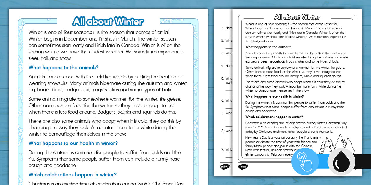 Winter Differentiated Reading Comprehension Activity