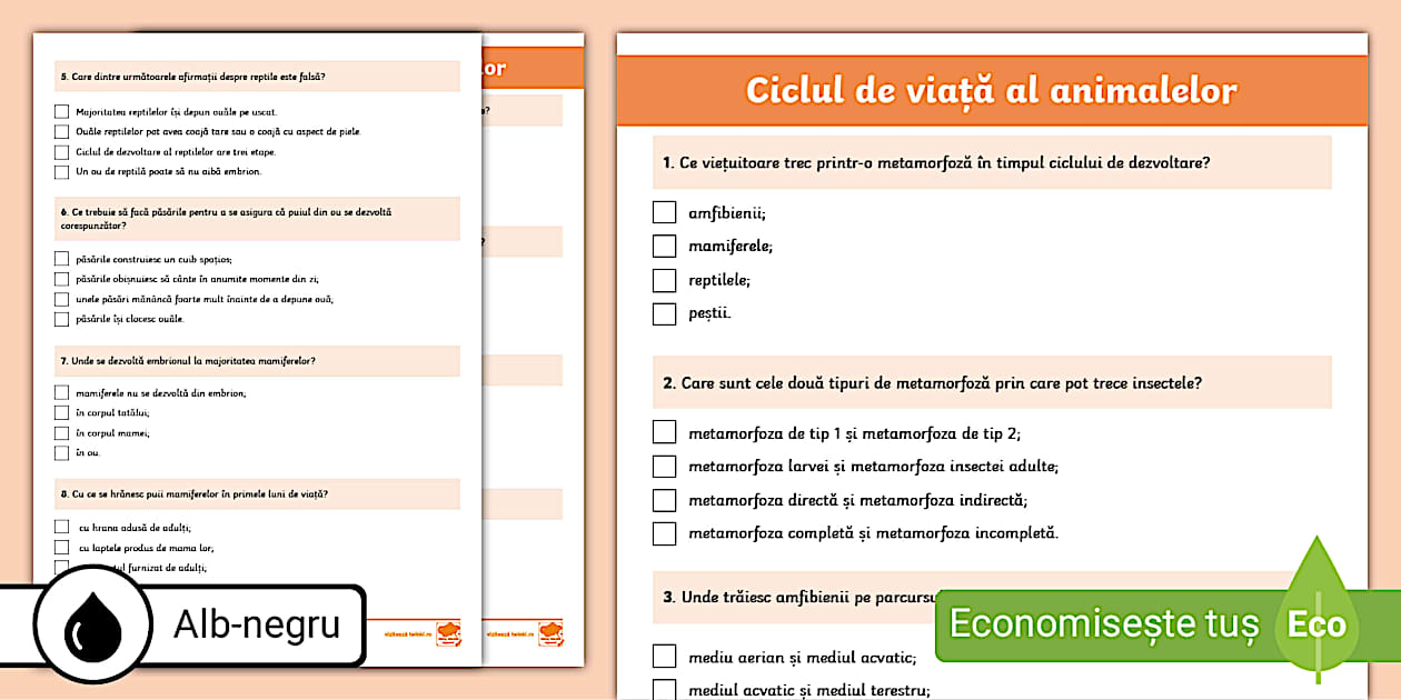 Ciclul de viață al animalelor – Evaluare formativă/ Temă PDF