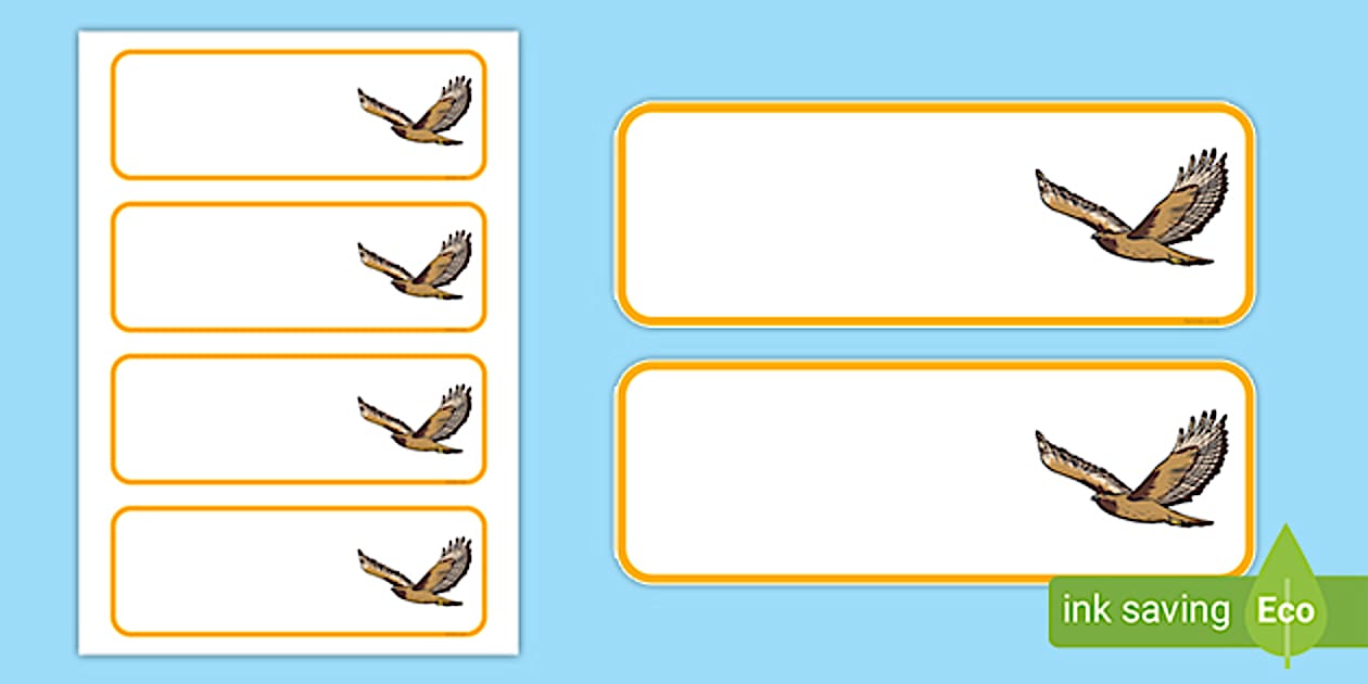 👉 Hawk Themed Editable Drawer, Peg, Name Labels - Twinkl