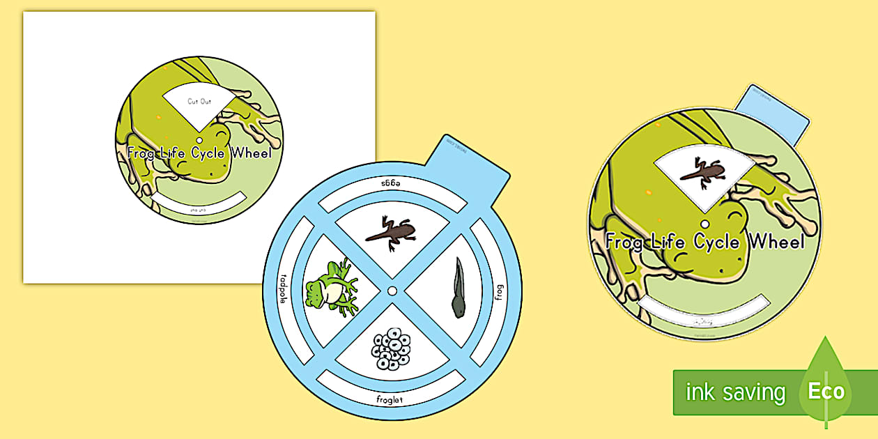 Frog Life Cycle Spin Wheel Cutouts (teacher made) - Twinkl
