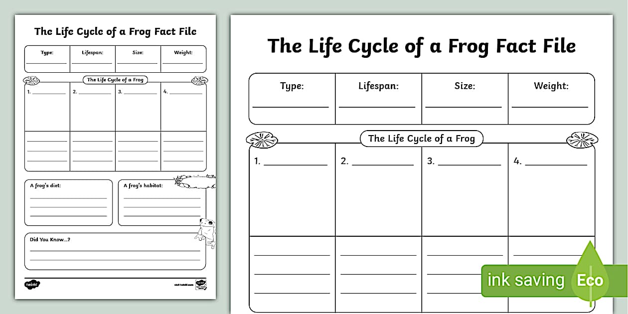 The Life Cycle of a Frog Fact File (teacher made) - Twinkl