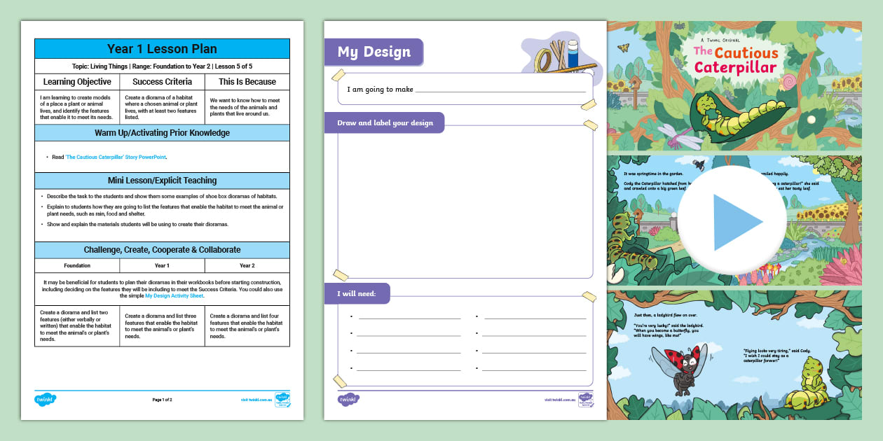 Year 1 Inclusion Living Things Differentiated Lesson Plan 5