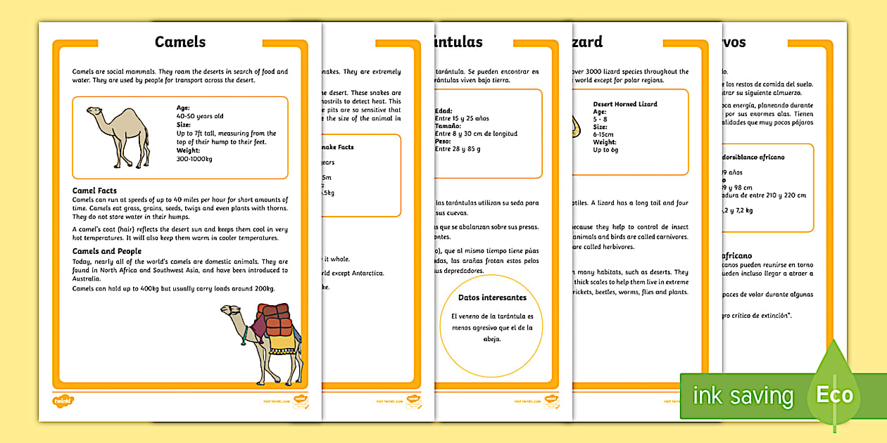 Black and White Desert Animals Fact Sheets English/Spanish