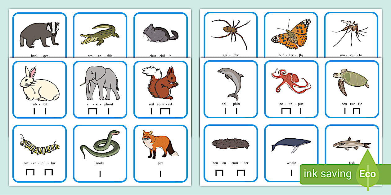 👉 KS1 Animal Themed Music Symbol Cards (teacher made)