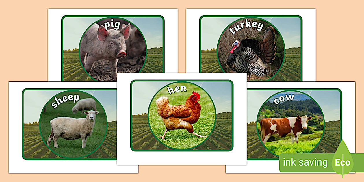 Farm Animals Display Photos - (teacher made) - Twinkl