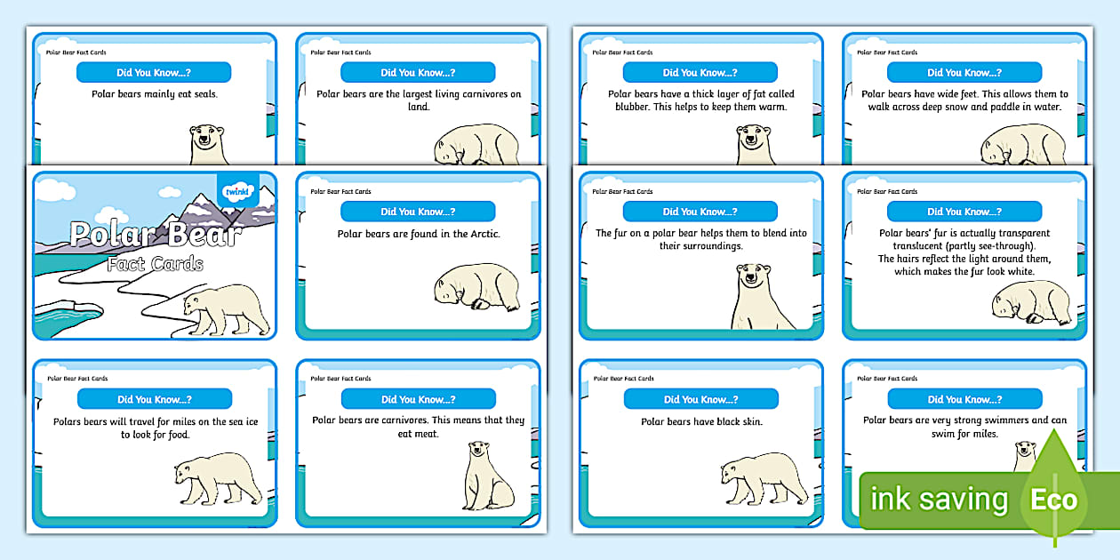 Polar Bear Fact Cards - Twinkl - KS1