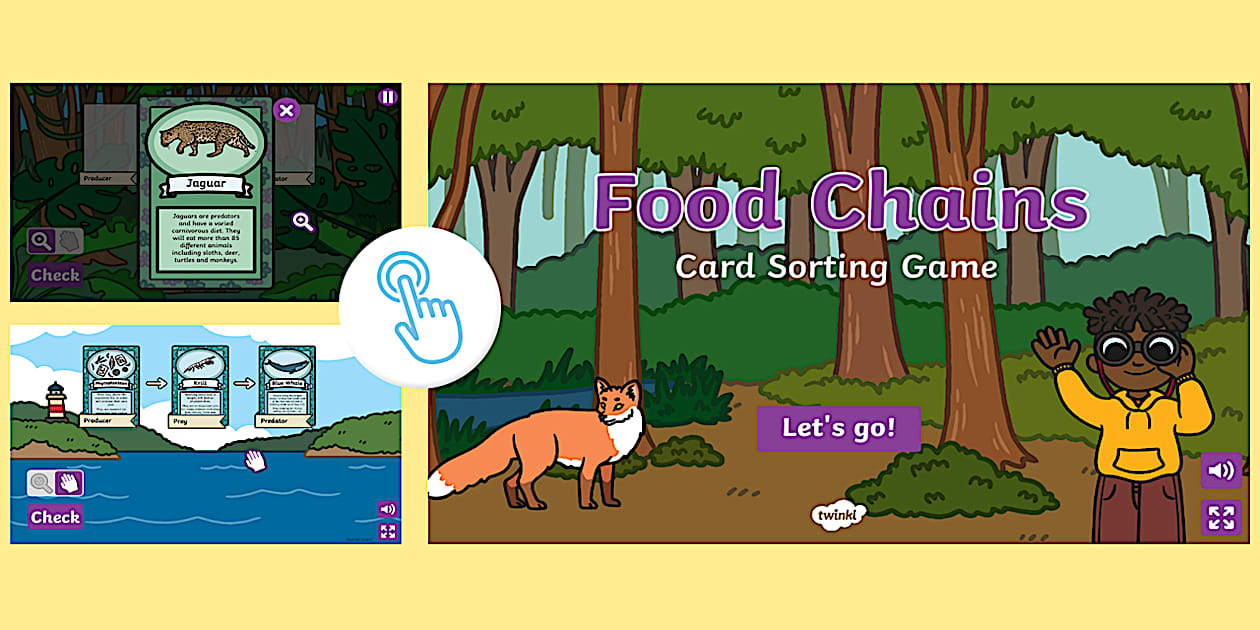 Food Chain Card Game | Wildlife Games | Twinkl Go! - Twinkl