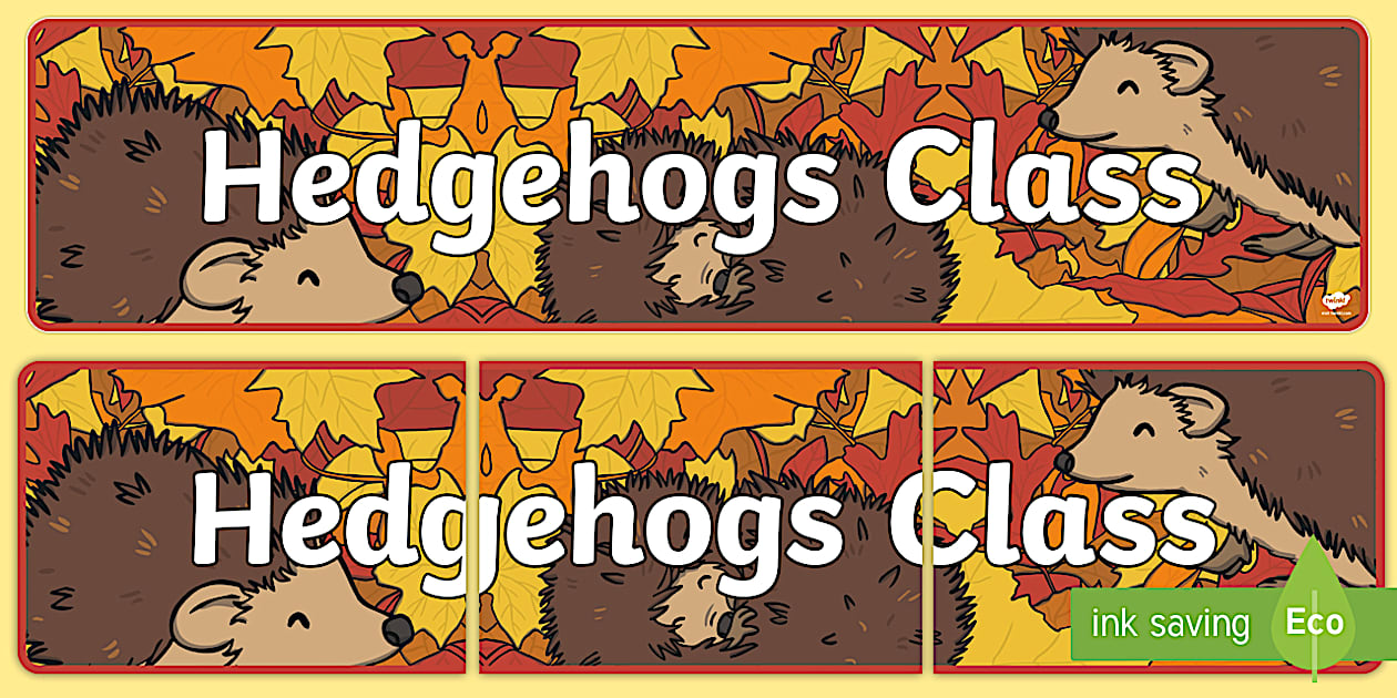 👉 Hedgehogs Class Display Banner (teacher made) - Twinkl