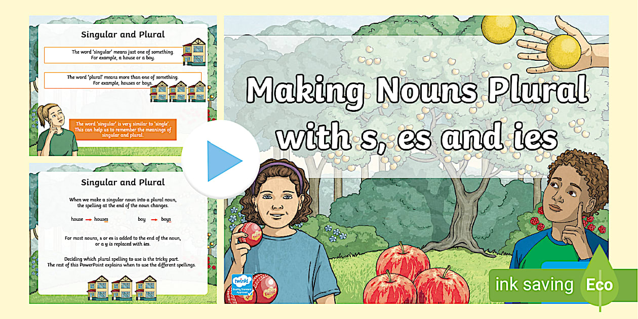 Make Nouns Plural PowerPoint | Teacher-Made | Twinkl
